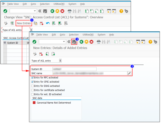 Configure Secure Network Connection on SAP System – Process Runner